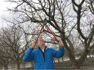 Trees Need Time to Chill - International Wood Collectors Society