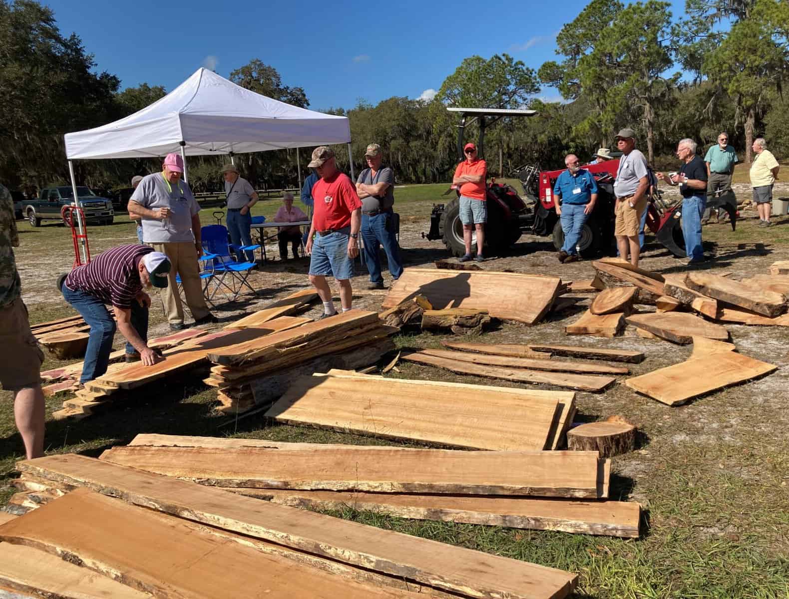 International Wood Collectors Society - Dedicated to the study and ...